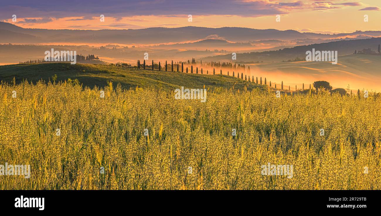 Tuscany photo with warm light hi-res stock photography and images - Alamy