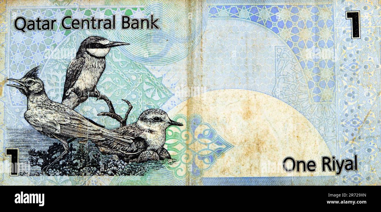 Large fragment of the reverse side of 1 Qatari Riyal cash money ...