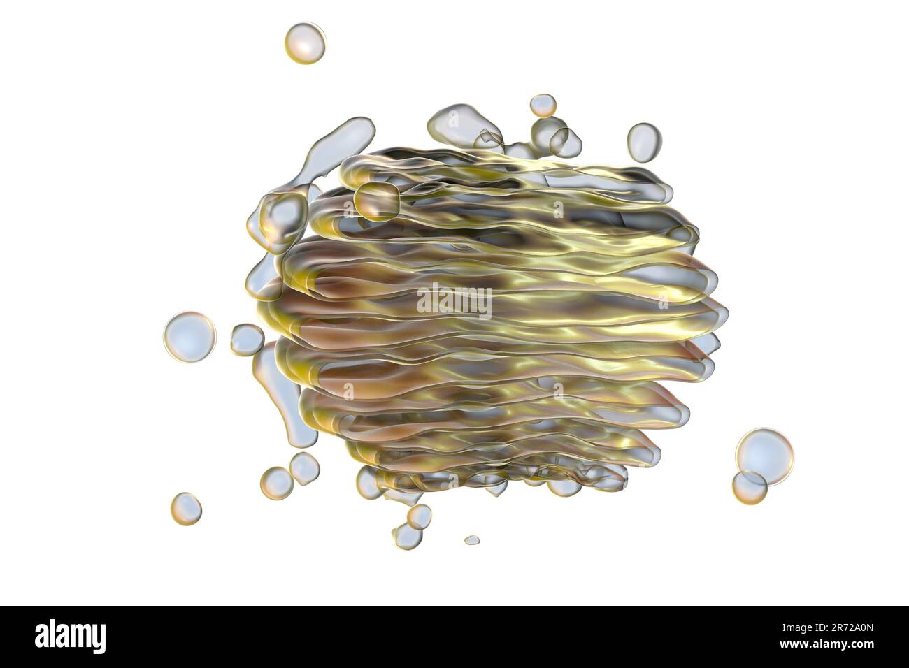 Computer artwork of the Golgi apparatus of the human cell. This ...