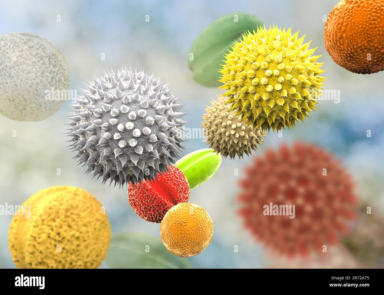 Pollen grains from different plants, conputer illustration. Pollen ...