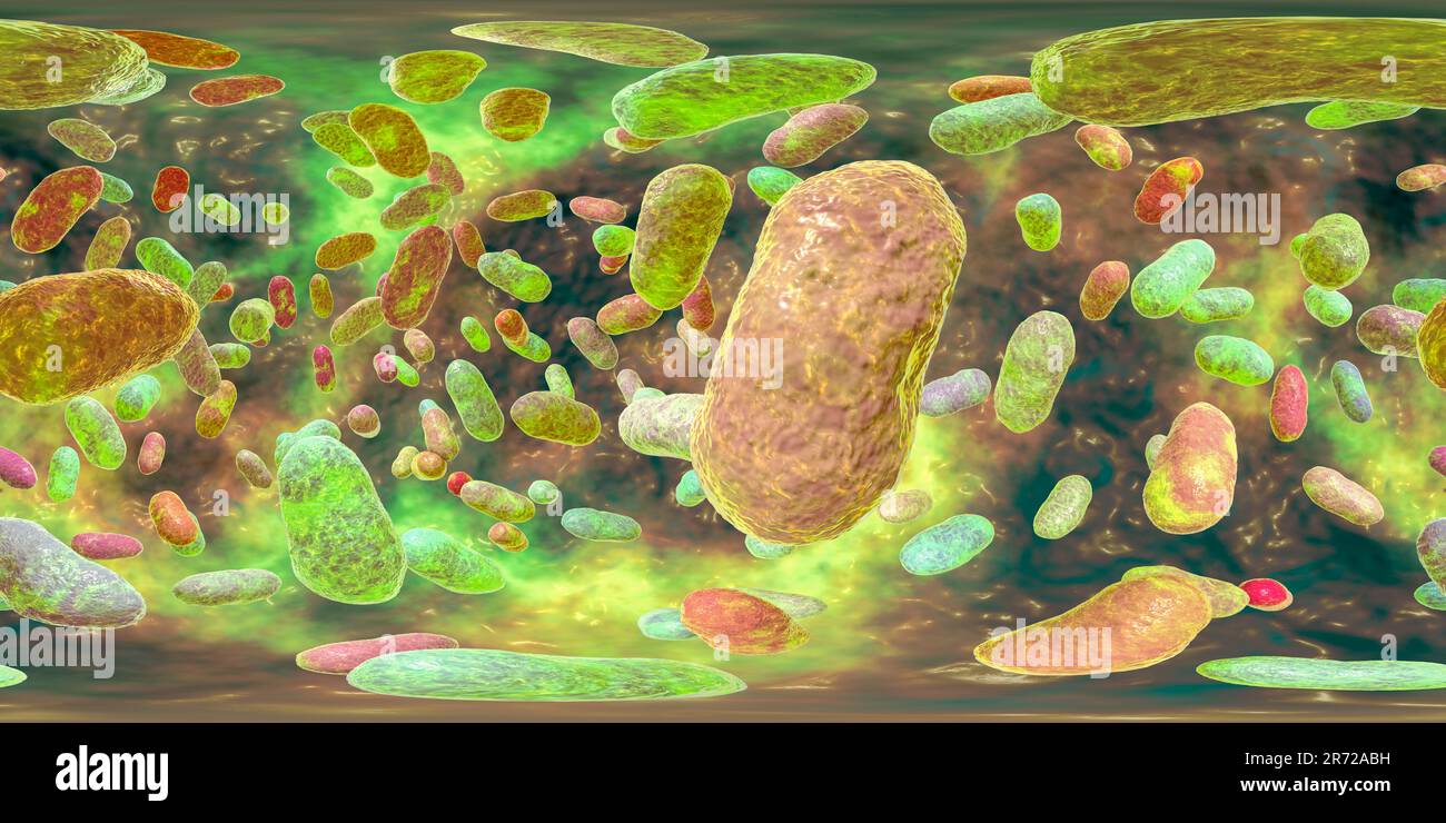 Porphyromonas gingivalis oral bacterium, 360 degree panorama view ...