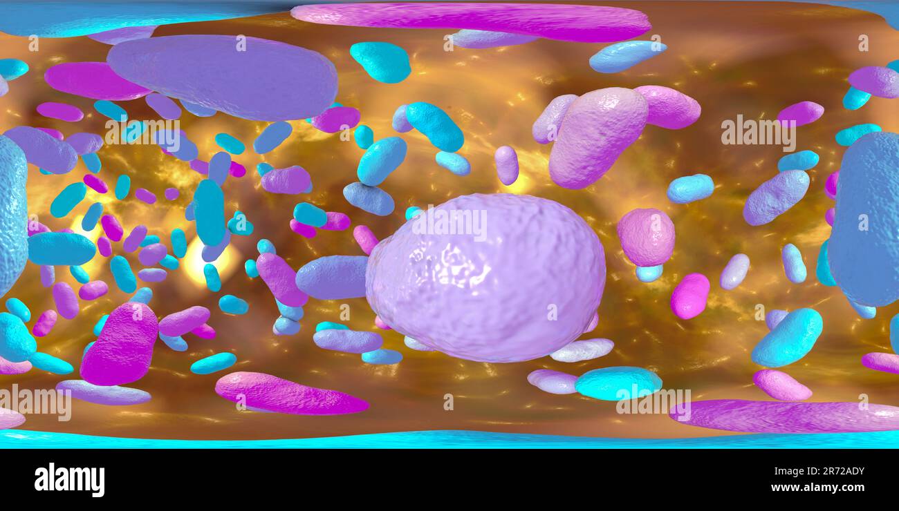 Porphyromonas gingivalis oral bacterium, 360 degree panorama view ...