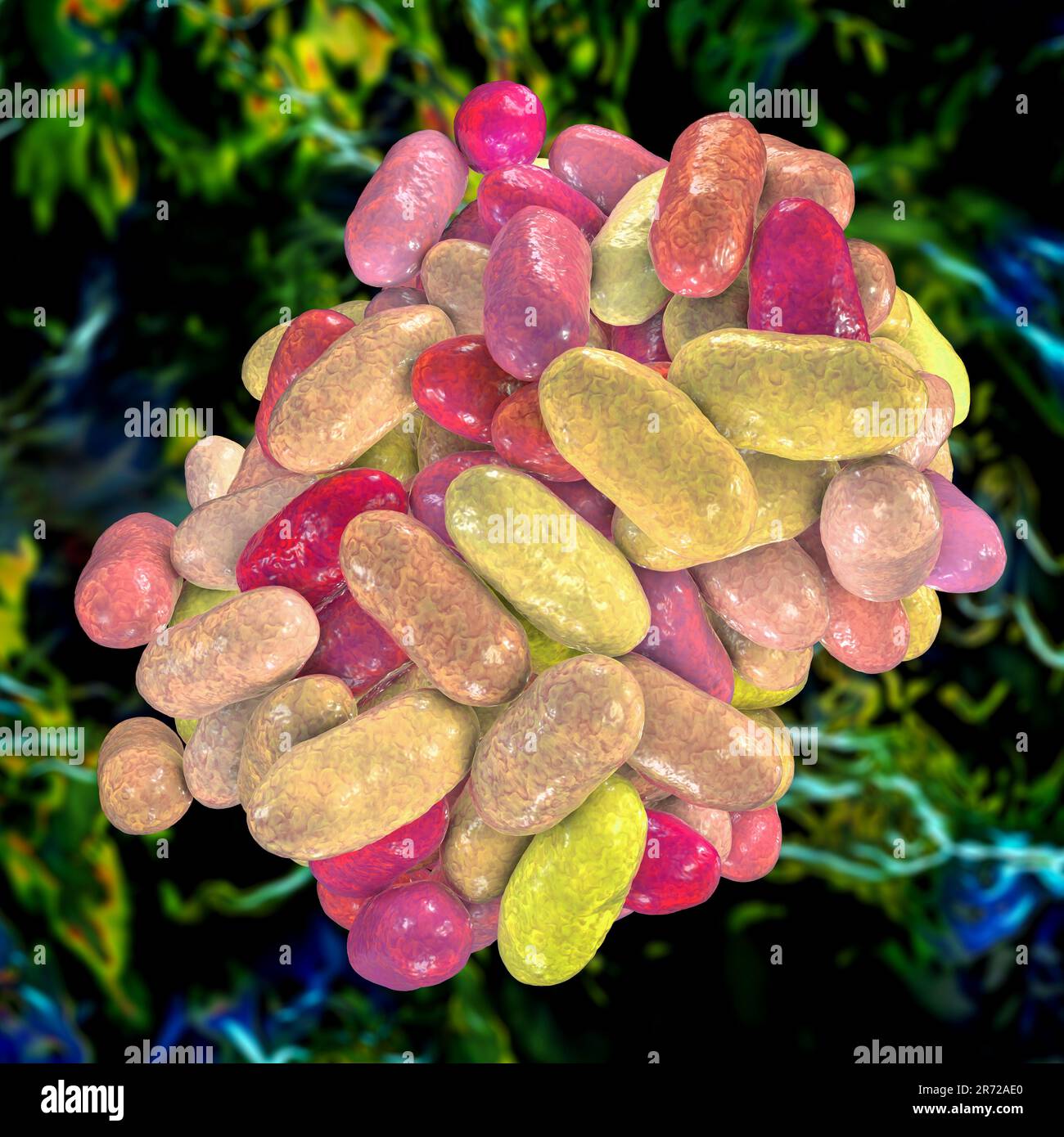 Porphyromonas gingivalis oral bacterium, computer illustration. P ...