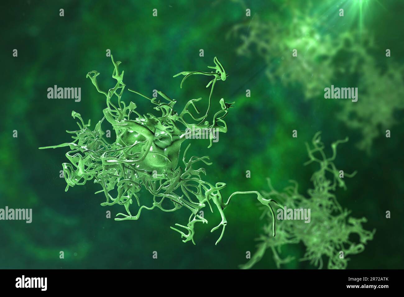 Amoeba, computer illustration Stock Photo - Alamy