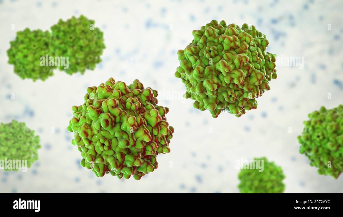 Adeno Associated Virus Wrapped Around By A Circular Dna Strand Computer Artwork Adeno