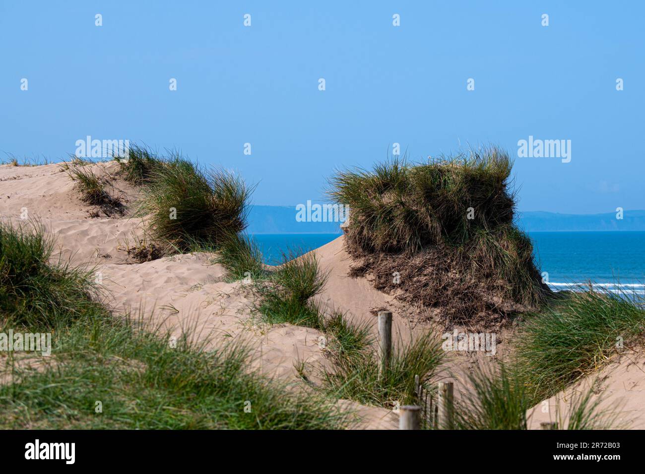 Sand dunes at Northam Burrows, near Westward Ho, North Devon Stock ...