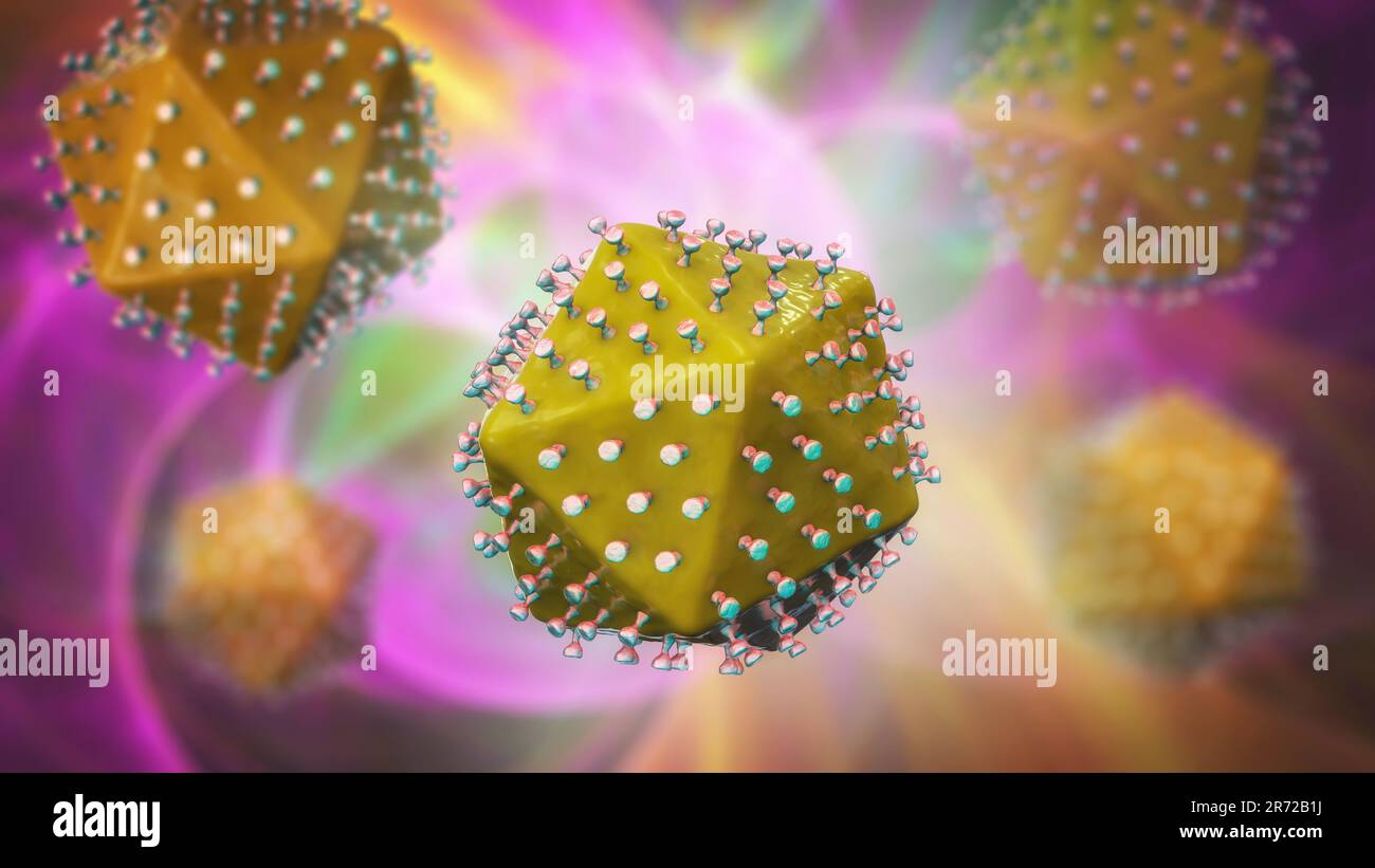African Swine Fever Virus Illustration This Virus Is A Member Of The