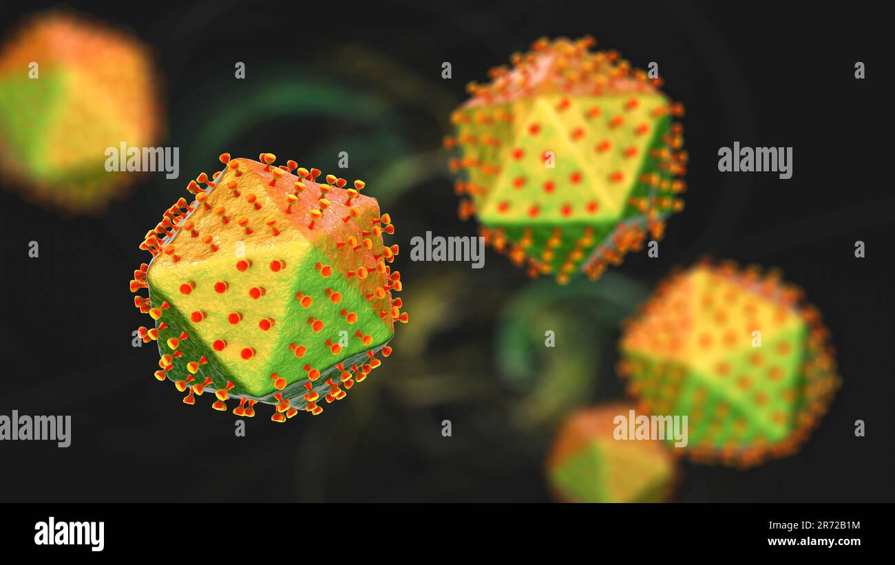 African swine fever virus, illustration. This virus is a member of the ...