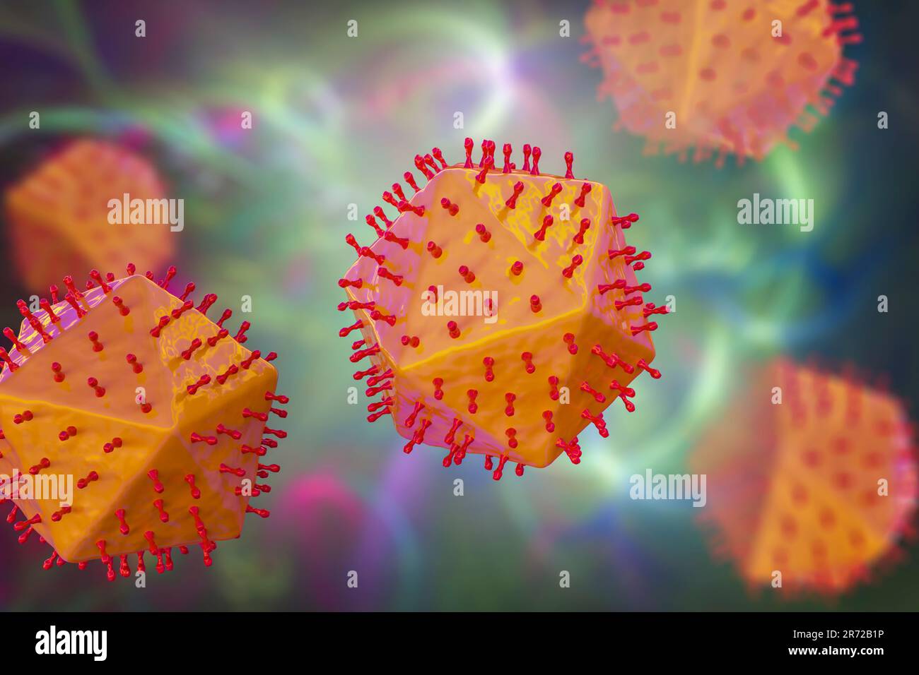 African swine fever virus, illustration. This virus is a member of the ...