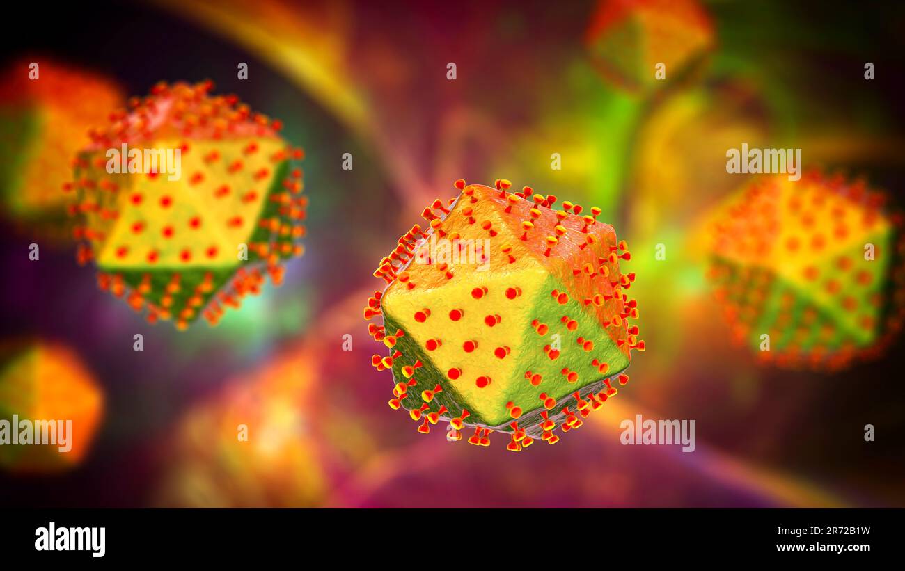African swine fever virus, illustration. This virus is a member of the ...