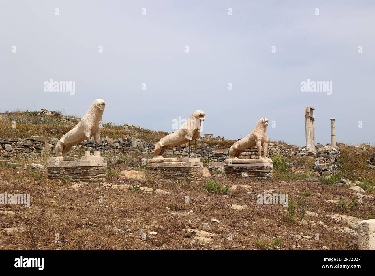 Lion statue from the Terrace of the Lions on the Cyclades island of ...
