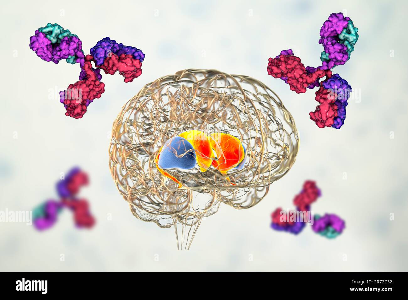 Anti-basal ganglia antibodies (ABGA). Conceptual computer illustration ...