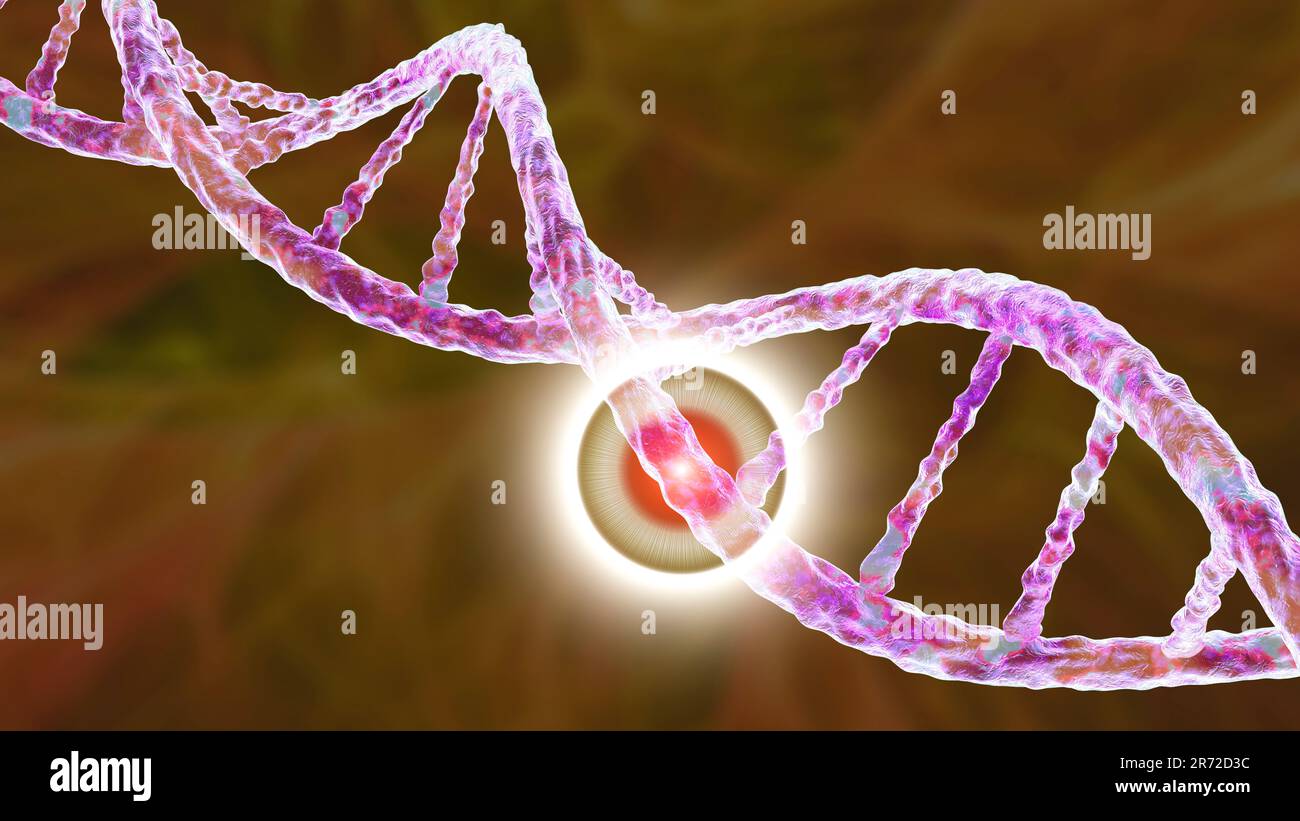 Genetic mutation, conceptual computer illustration Stock Photo - Alamy