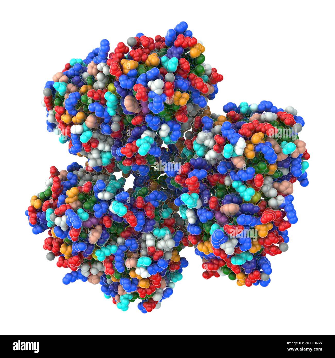 Molecule of Huntingtin protein, the protein coded for by the HTT gene, 3D illustration. Mutated ...