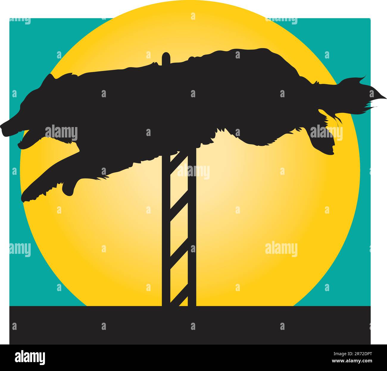 Silhouette of a Border Collie jumping a hurdle in an agility ...