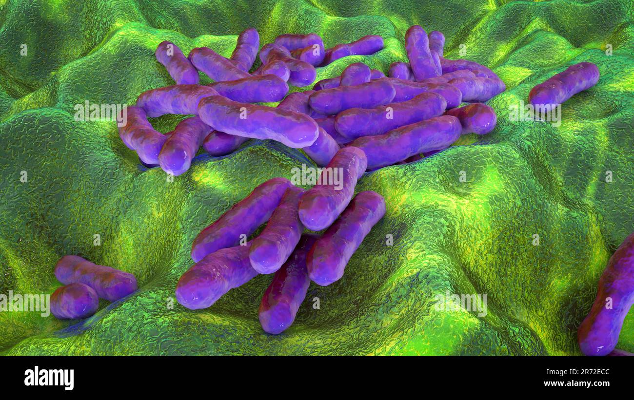 Skin microbiota hi-res stock photography and images - Alamy
