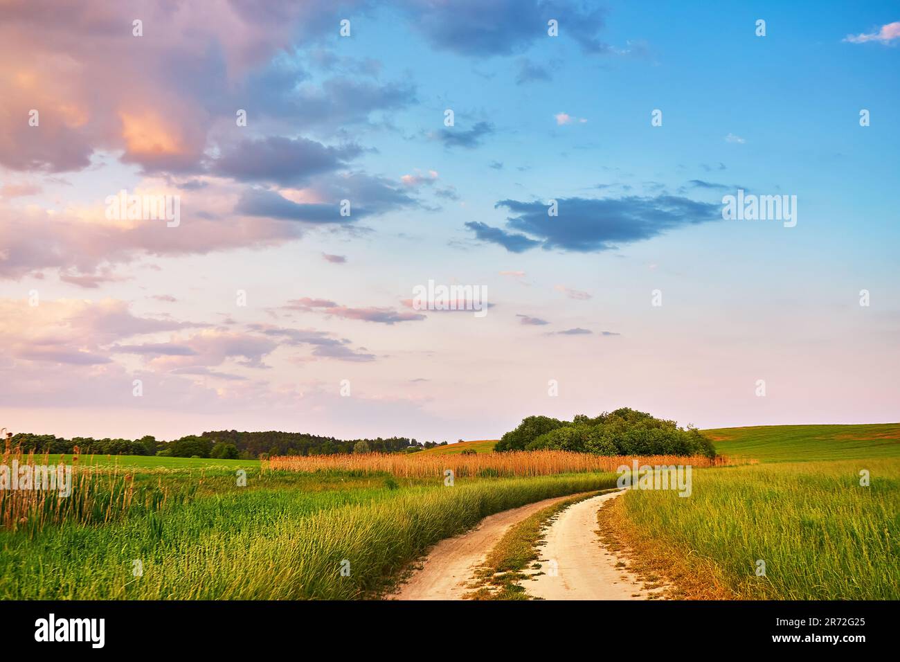 Rural road in fields and meadows at sunset time in summer. Beautiful ...