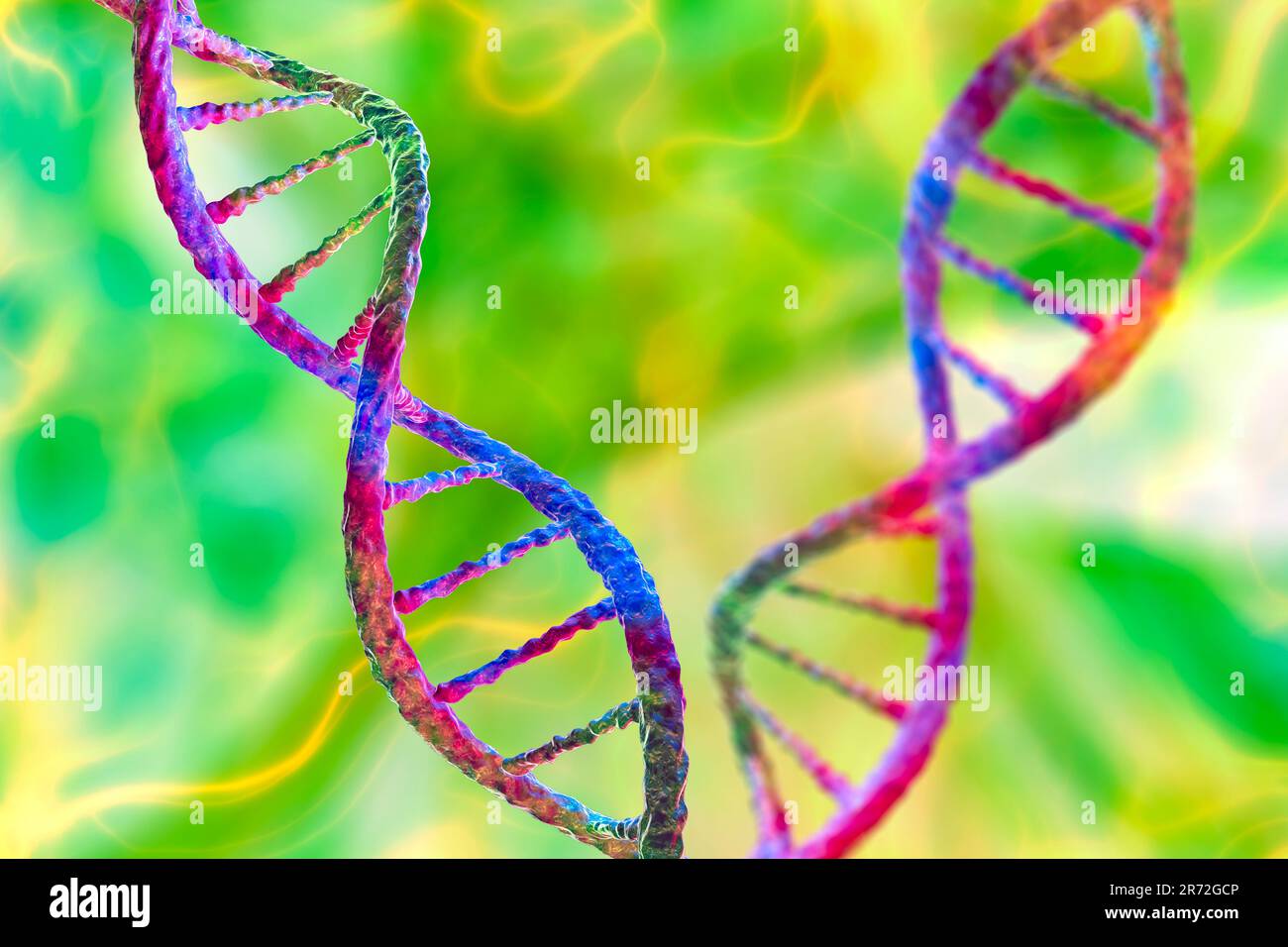 DNA (deoxyribonucleic acid) structure, illustration Stock Photo - Alamy