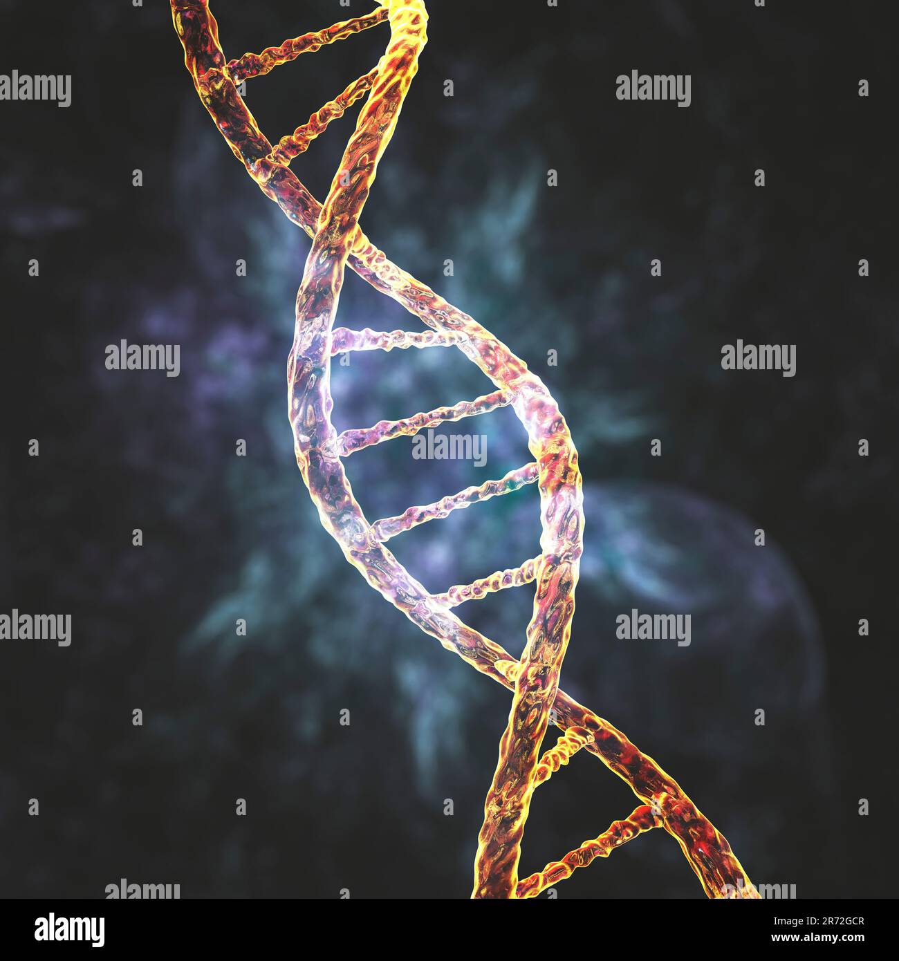 DNA (deoxyribonucleic acid) structure, illustration Stock Photo - Alamy
