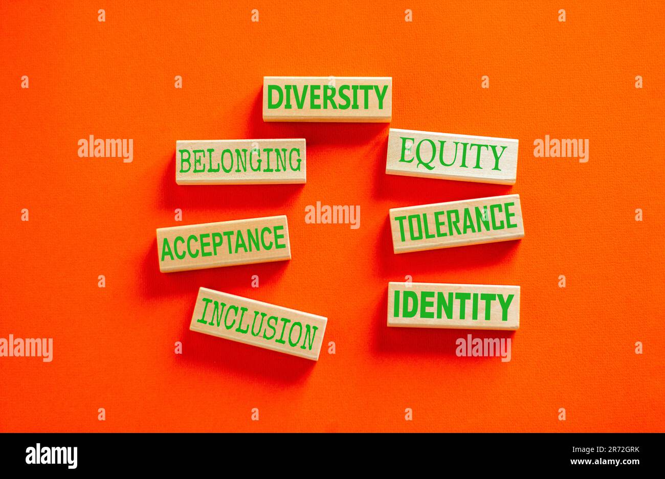 Diversity, inclusion symbol. Diversity belonging inclusion equity ...