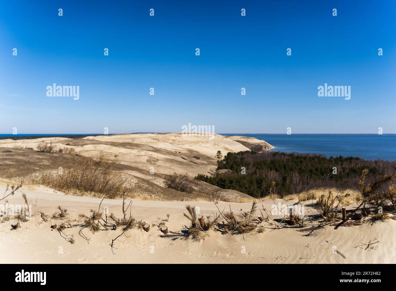 The Gray Dunes, or the Dead Dunes is sandy hills with a bit of green ...