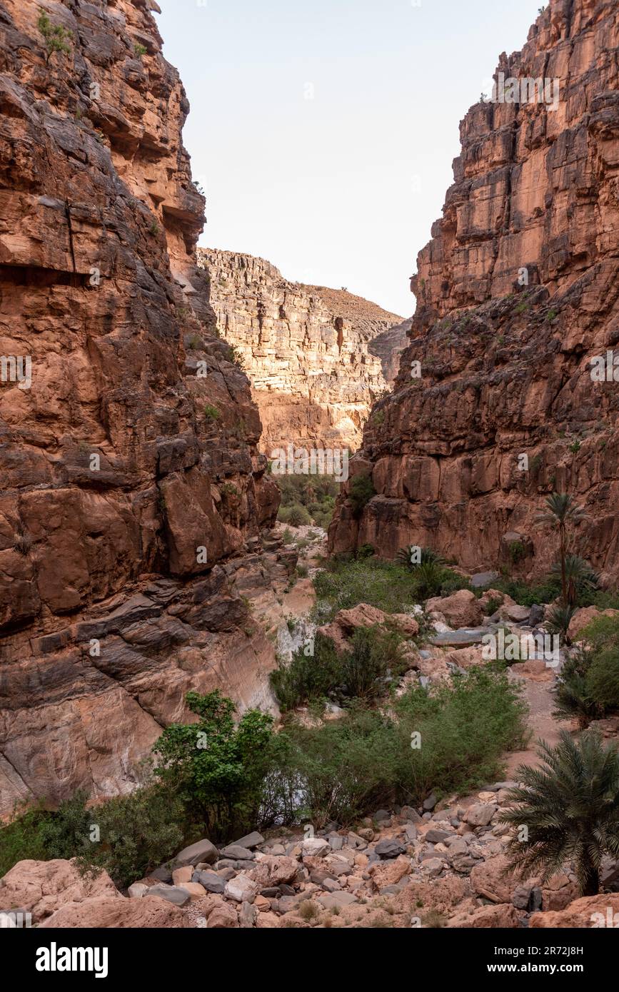 Hiking through the iconic Amtoudi canyon in the Anti-Atlas, Morocco ...