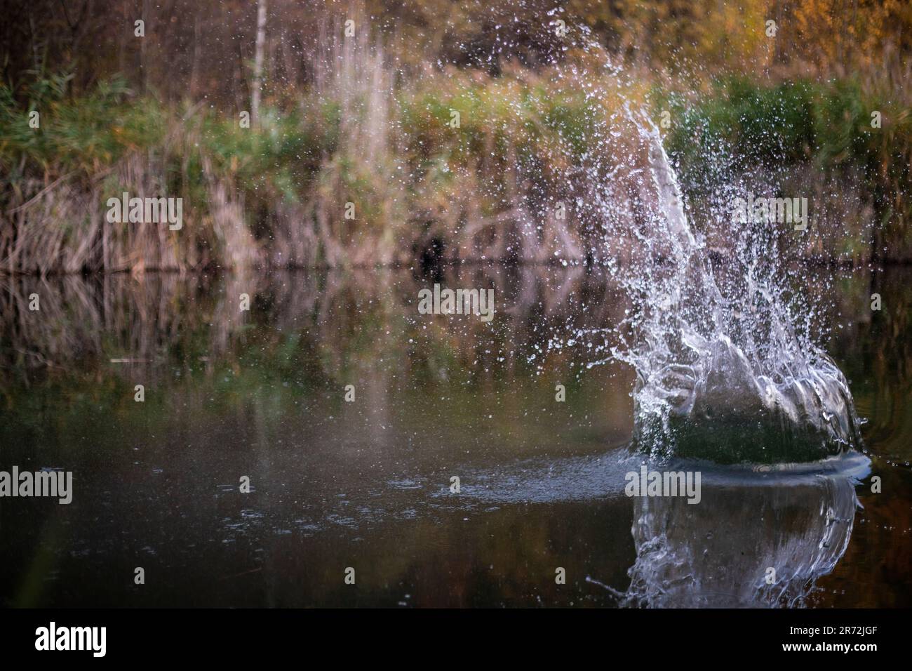 A water splash with reflection Stock Photo - Alamy