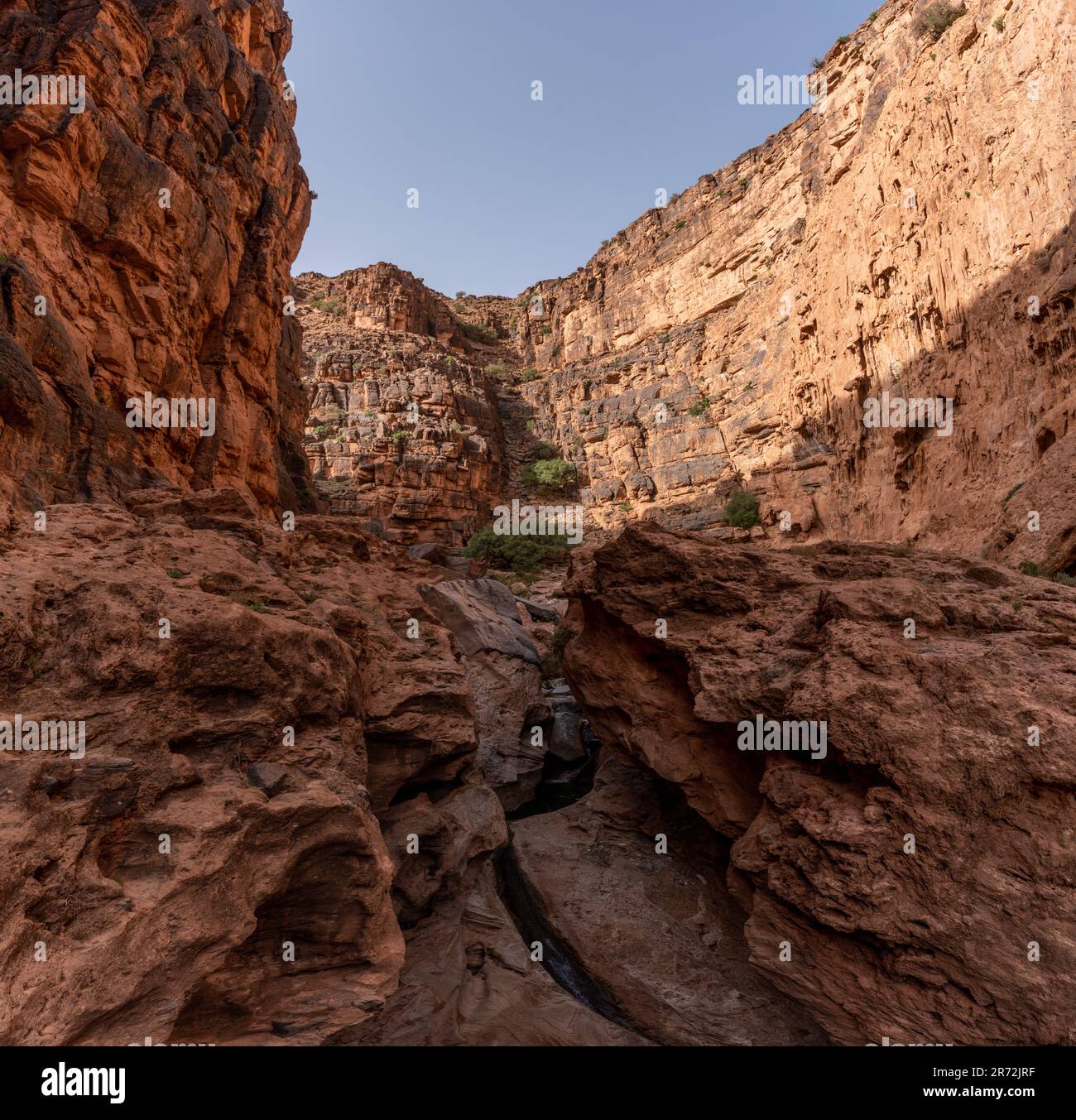 Hiking through the iconic Amtoudi canyon in the Anti-Atlas, Morocco ...