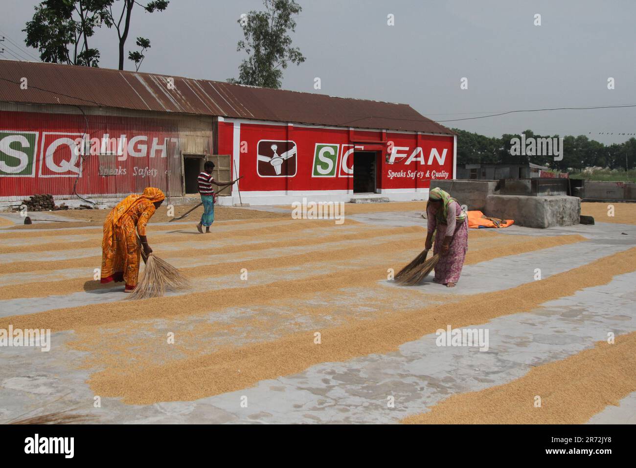 Munshiganj, Dhaka, Bangladesh. 29th Sep, 2022. Rice mill workers turn ...