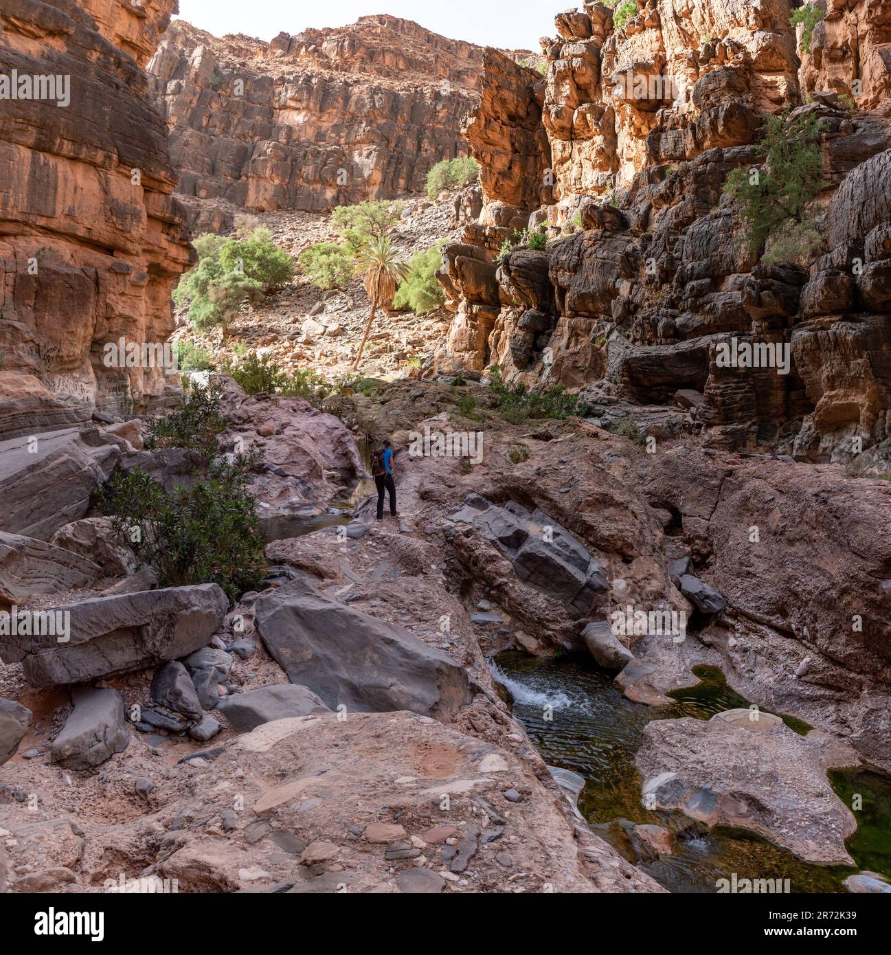 Hiking through the iconic Amtoudi canyon in the Anti-Atlas, Morocco ...
