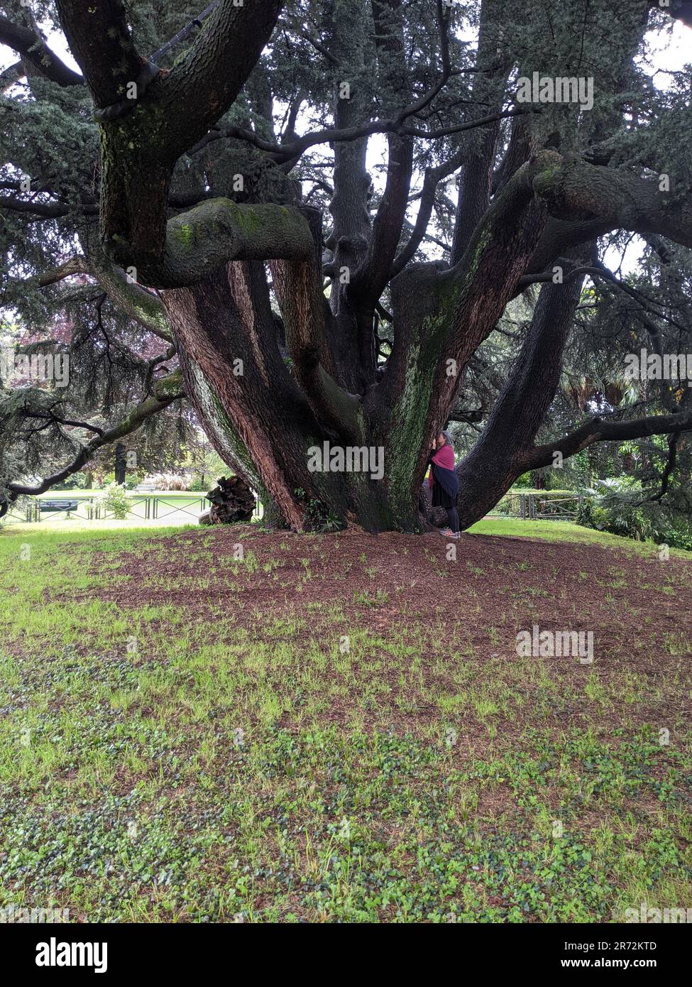 Villa estense hi-res stock photography and images - Alamy