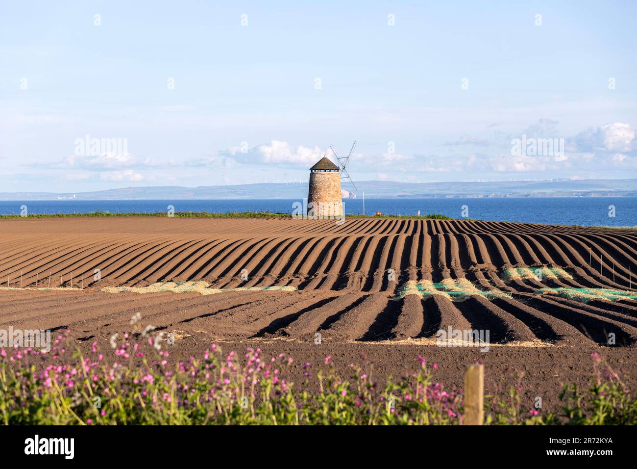 St Monans Windmill, pre-planting field, St Monans, Fife, Scotland, UK ...