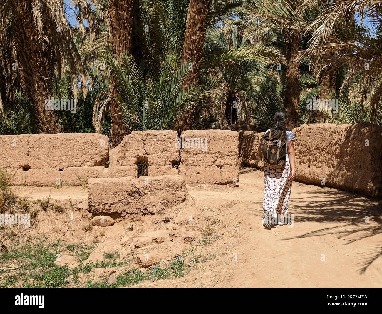 Hiker in scenic agriculture landscape in the beautiful draa valley hi ...