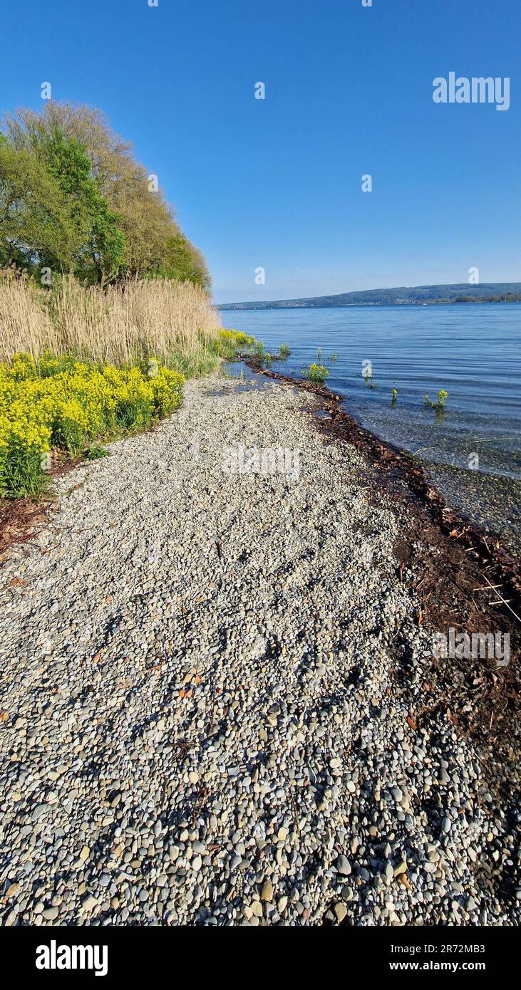 Summer vacation on beautiful Lake Constance with blue sky and sunshine ...