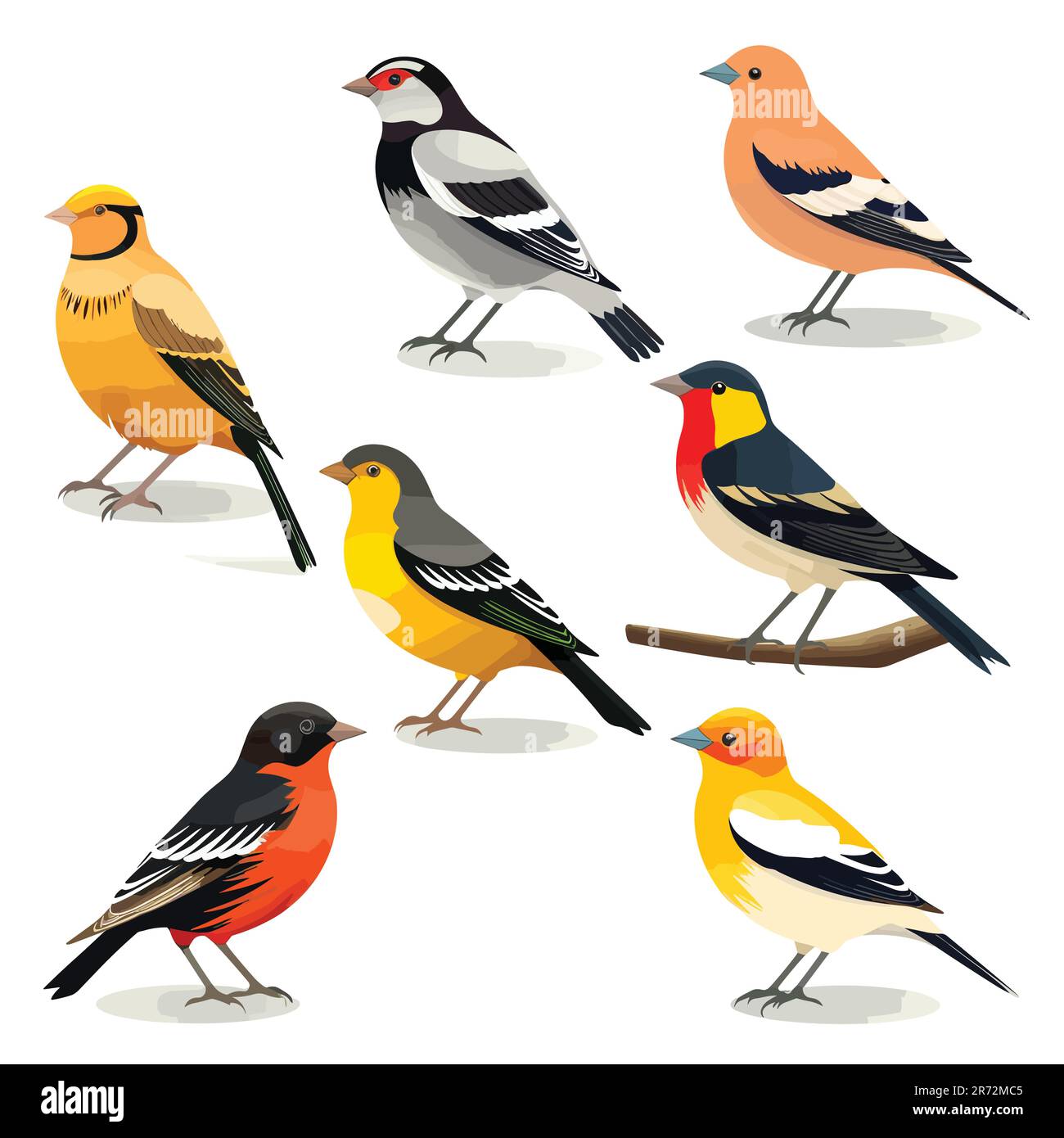 Flying white dove isolated on Stock Vector Images - Alamy