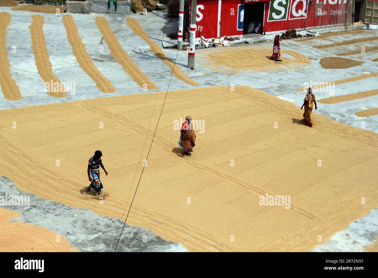 Munshiganj, Dhaka, Bangladesh. 29th Sep, 2022. Rice mill workers turn ...