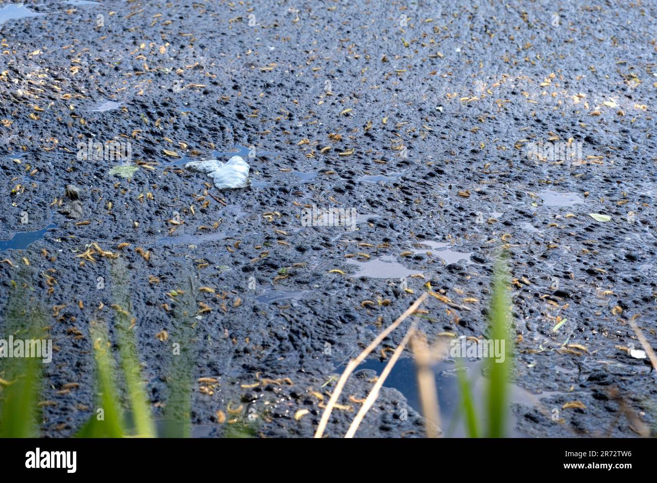 Dirty water. Environmental disaster, the river is littered with plastic ...
