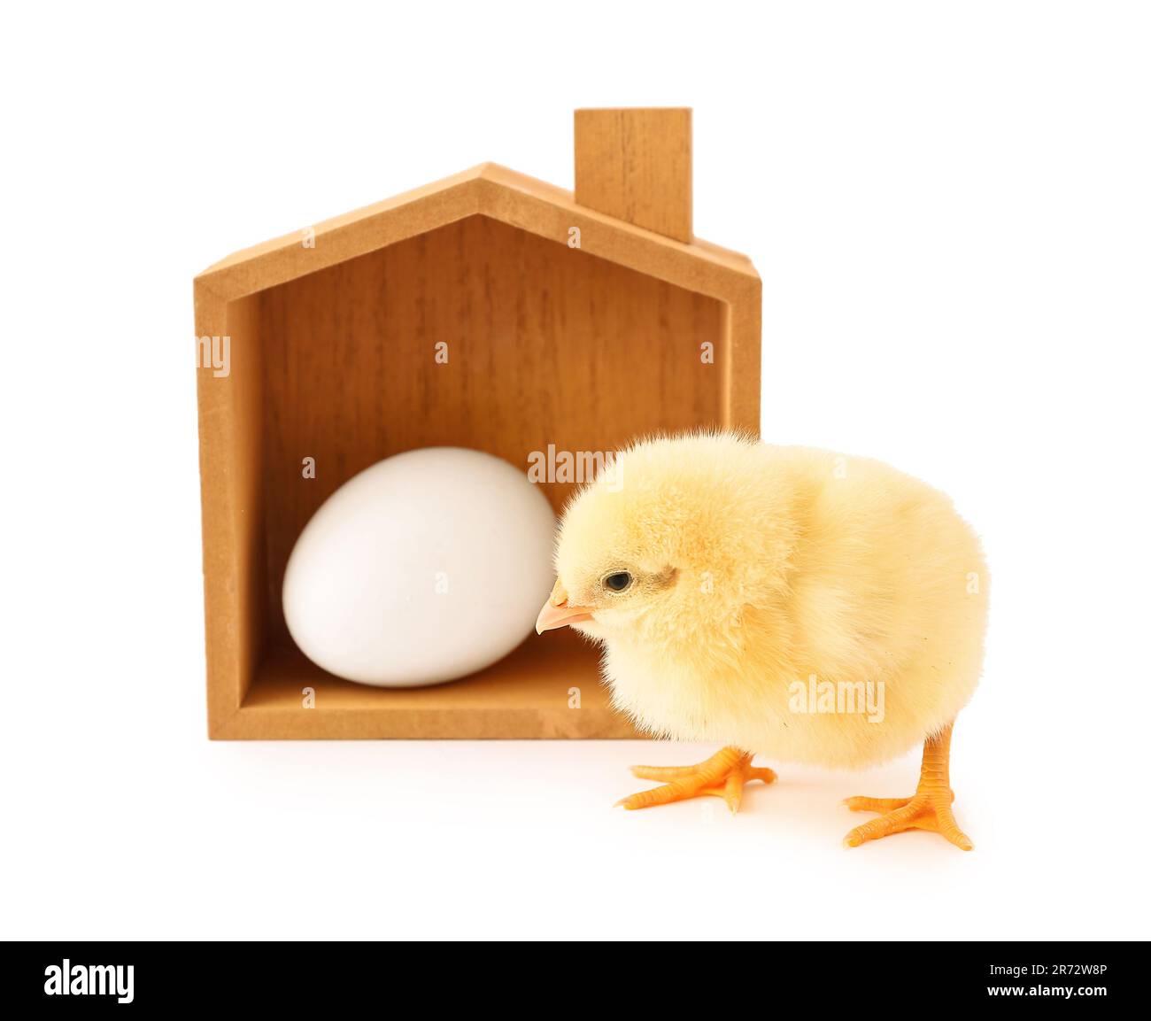 Wooden house figure with cute little chick on white background Stock ...