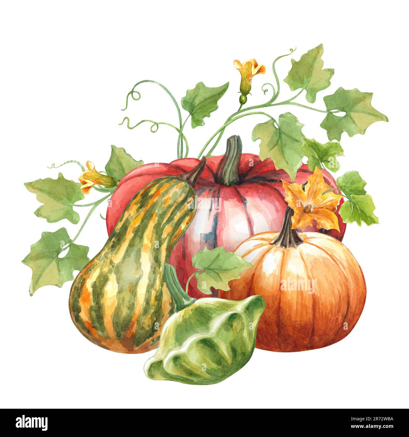 Fall Pumpkins Clip Art