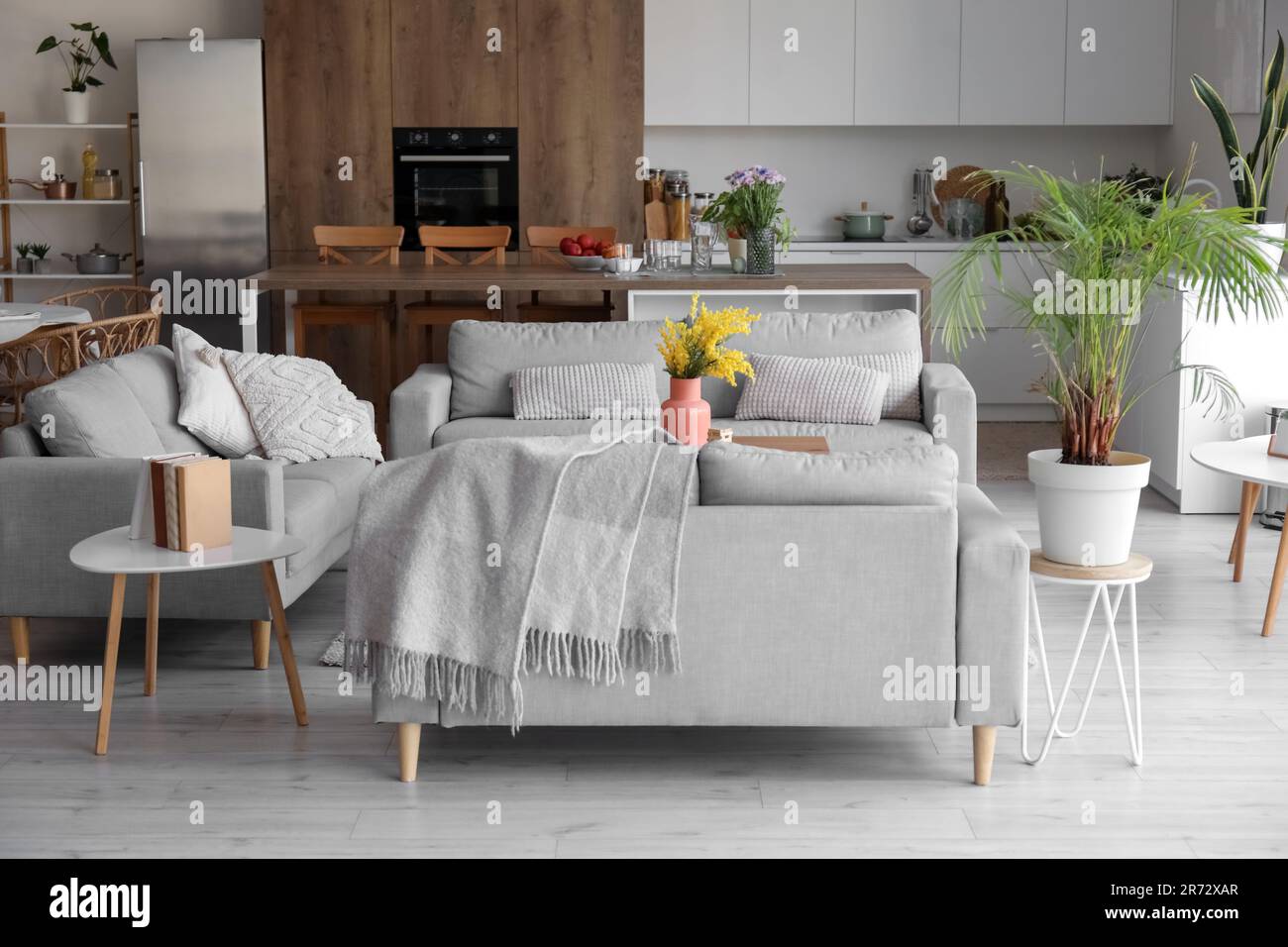 Interior of light open space studio apartment with kitchen and living ...