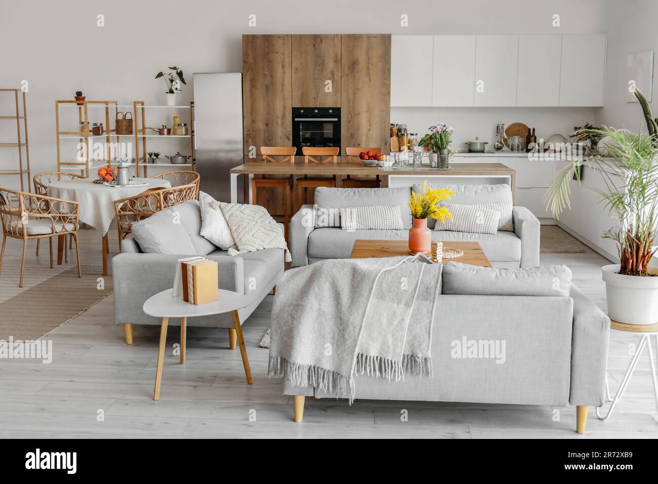 Interior of light open space studio apartment with kitchen and living ...