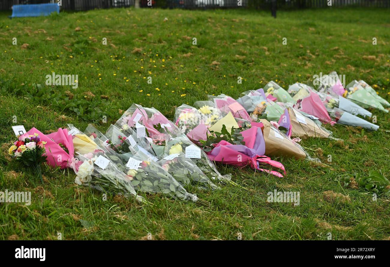 Floral tributes at Harryville in Ballymena were Chloe Mitchell went ...