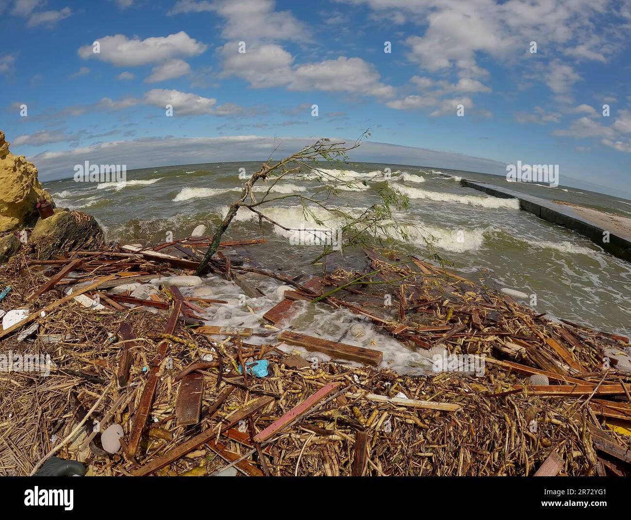 Floating debris has reached Black Sea beaches in Odessa, Ukraine ...