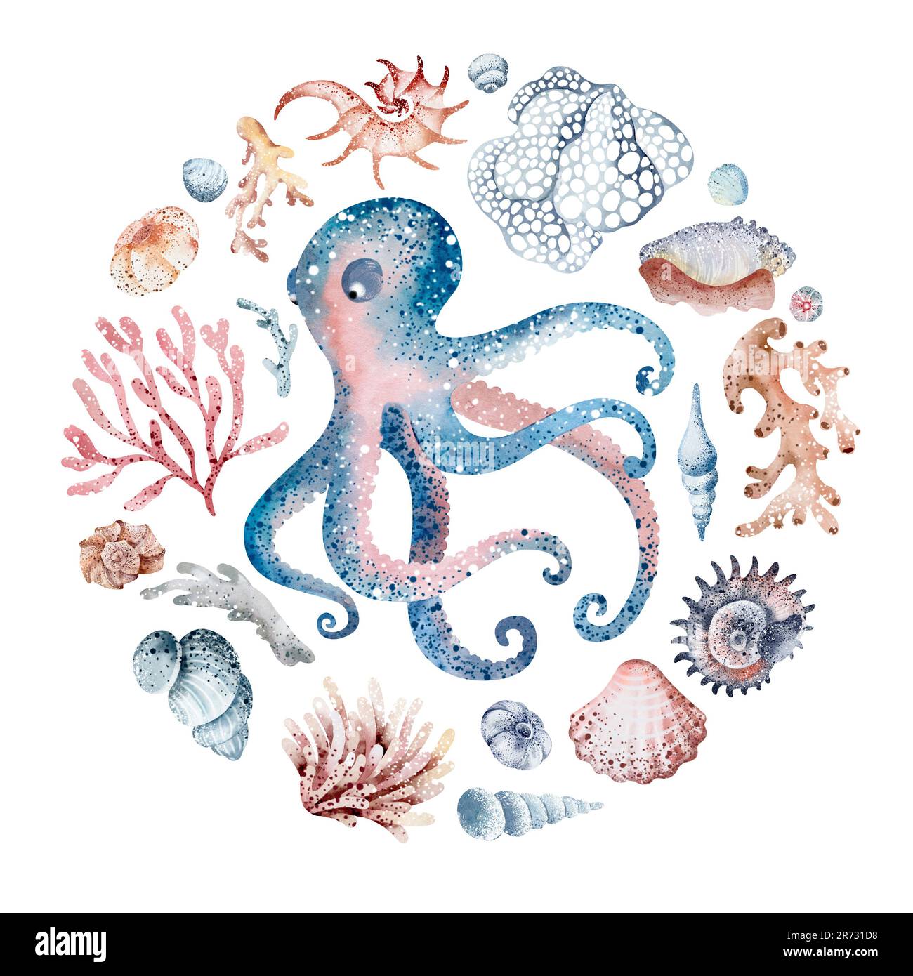 Watercolor illustrations of marine animals octopus, seahorse, crab ...