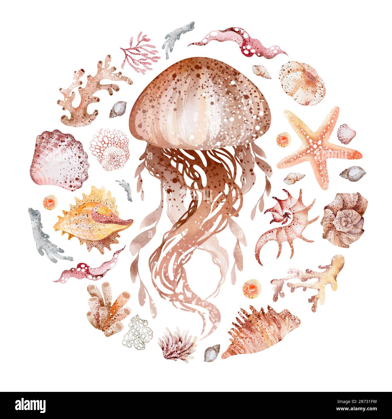Watercolor illustrations of marine animals octopus, seahorse, crab ...