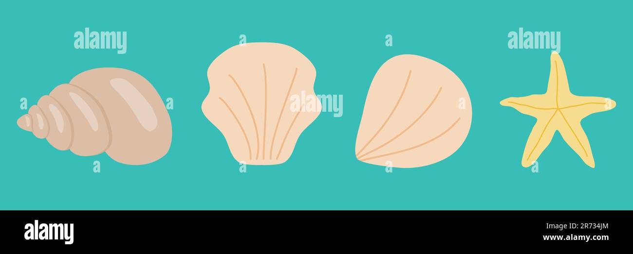 Different shells Stock Vector Images - Alamy