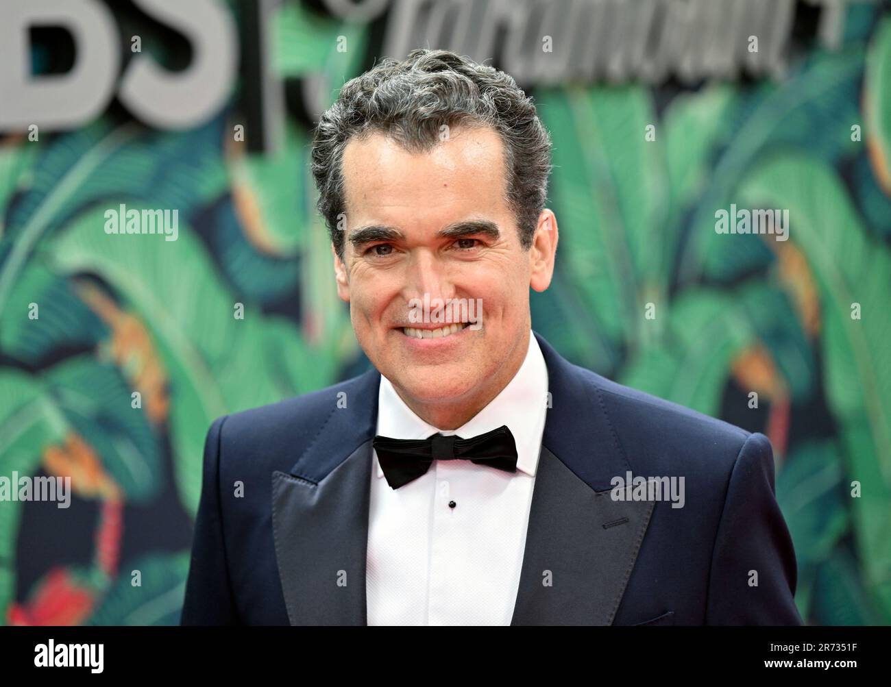 Brian d'Arcy James arrives at the 76th annual Tony Awards on Sunday ...