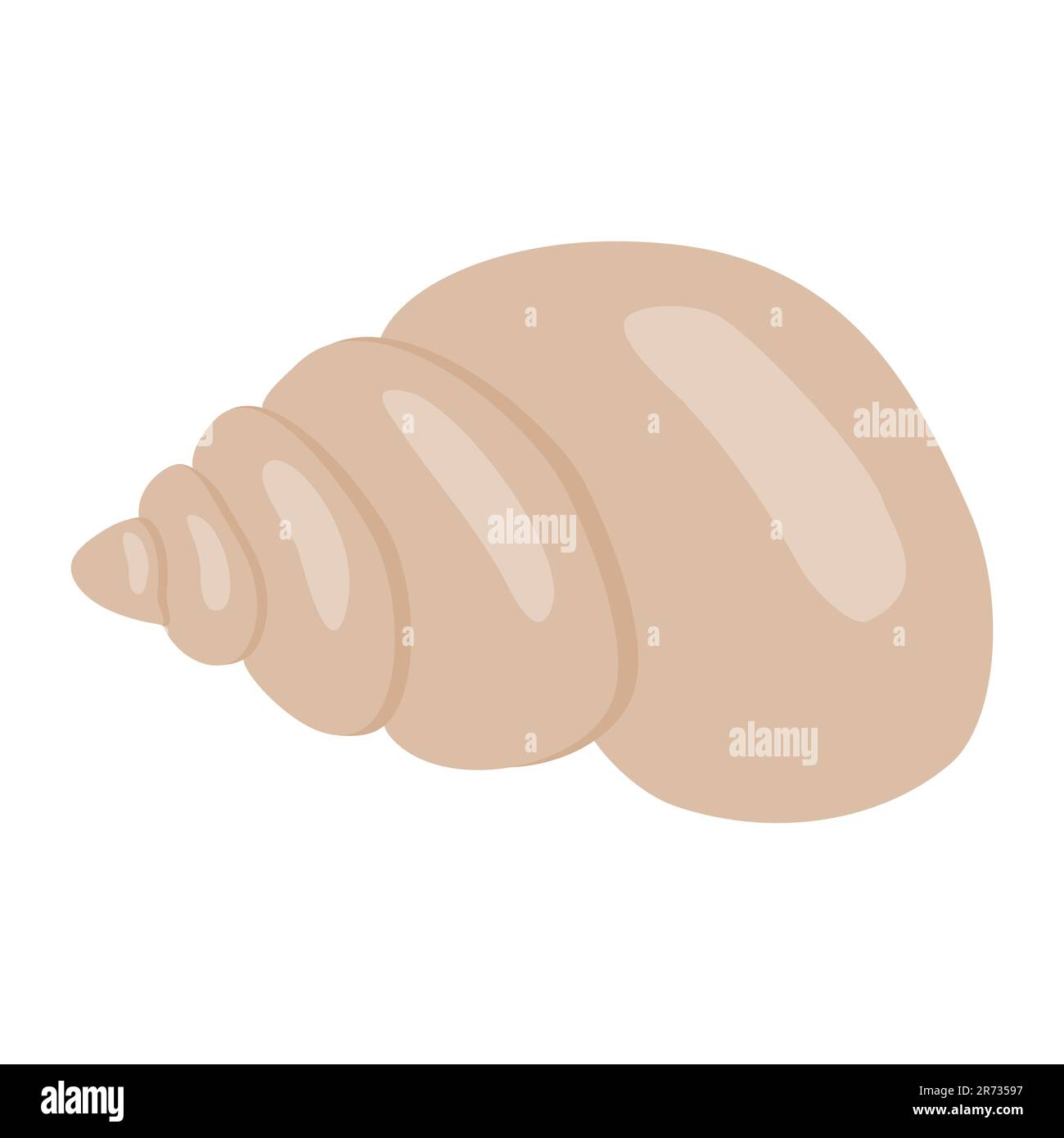 Common sea shell, summertime design element flat vector illustration ...