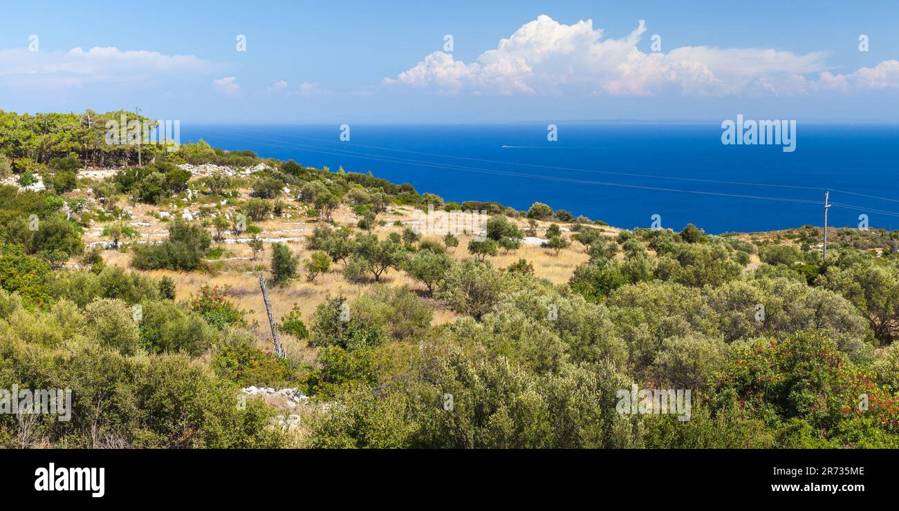 Zakynthos island, coastal summer landscape with olive trees, Greece ...