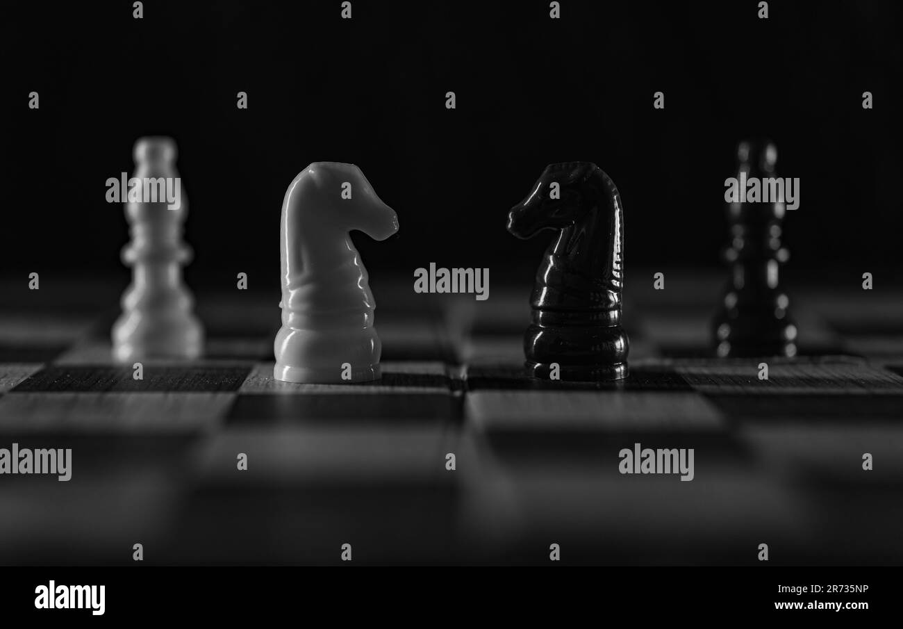 A black knight piece and a white knight piece facing off on a chess ...